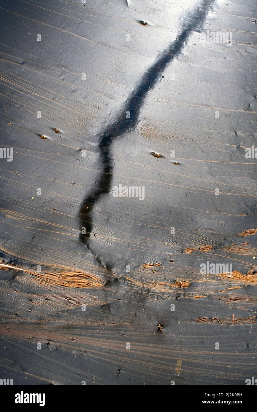 Water pollution in swamp Stock Photo - Alamy