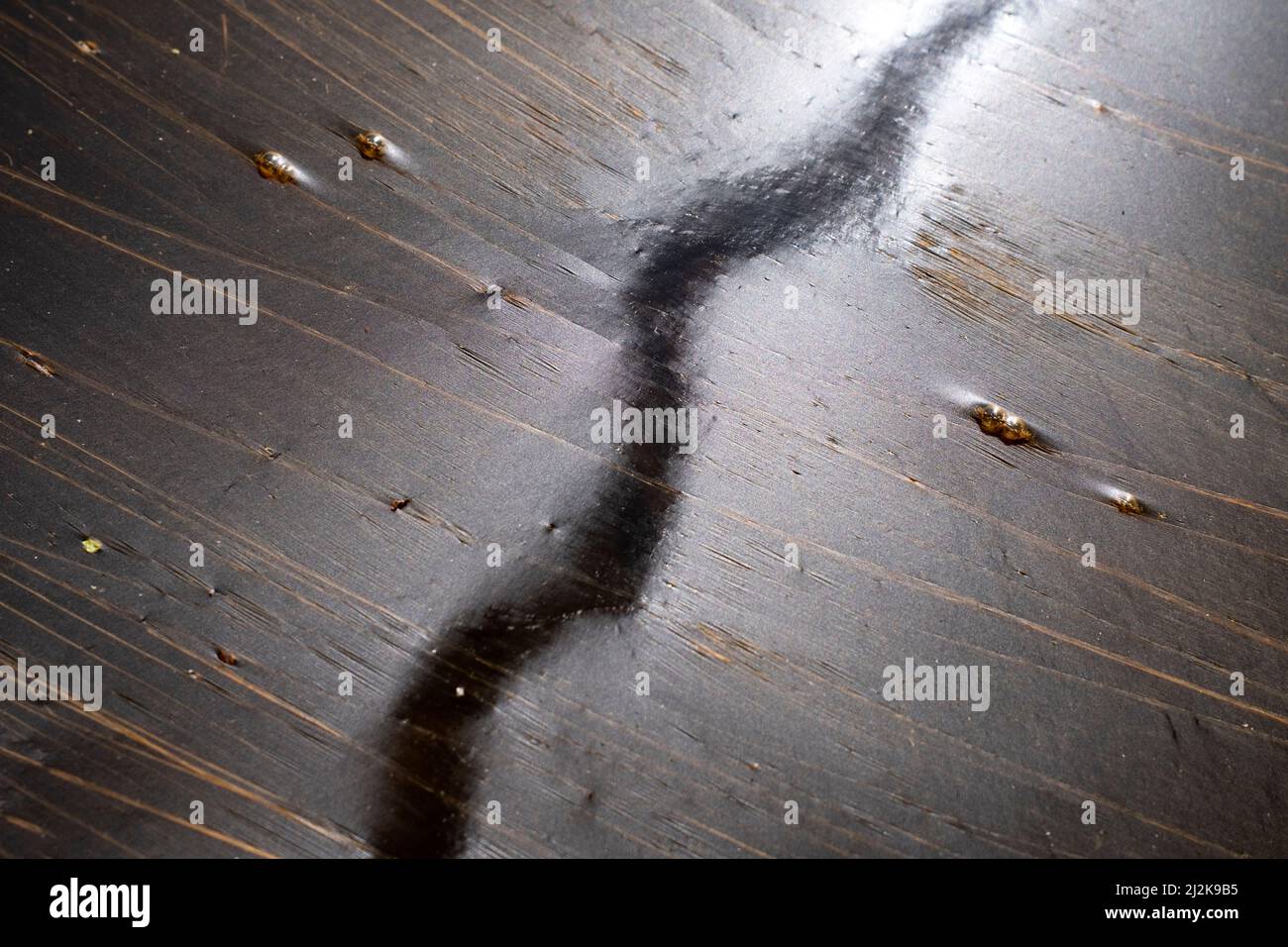 Water pollution in swamp Stock Photo - Alamy