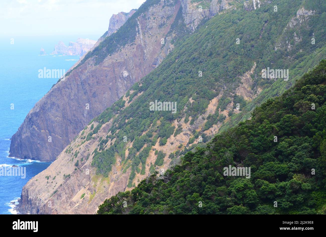 Vereda da Boca do Risco walking path in Madeira’s north-eastern coast ...