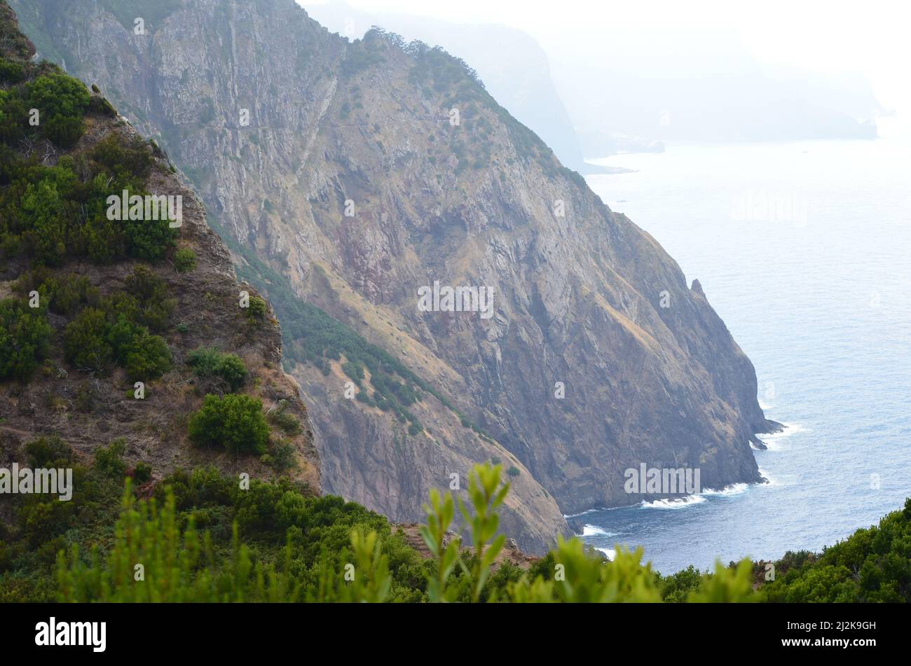 Vereda da Boca do Risco walking path in Madeira’s north-eastern coast ...