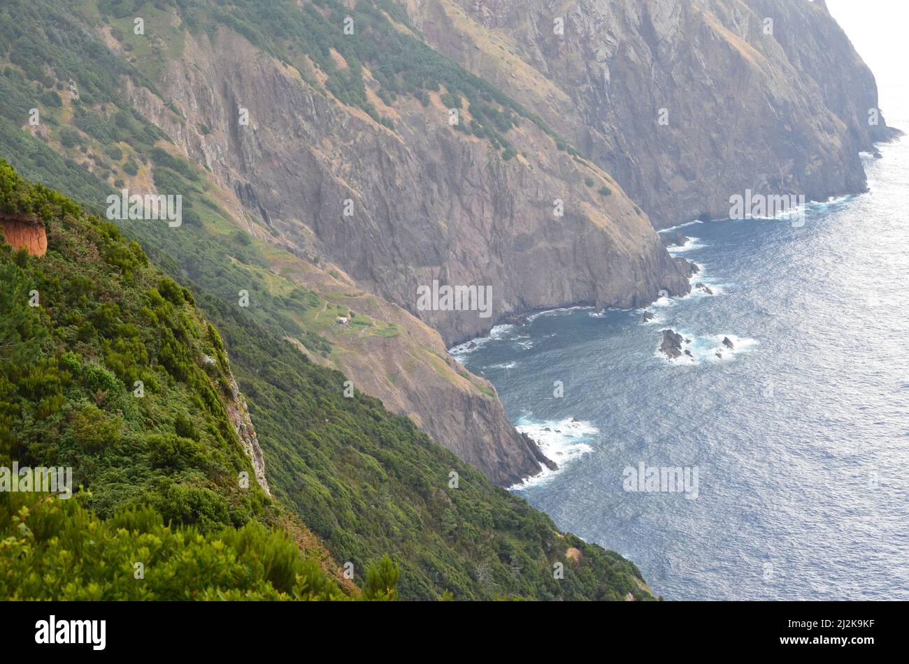 Vereda da Boca do Risco walking path in Madeira’s north-eastern coast ...