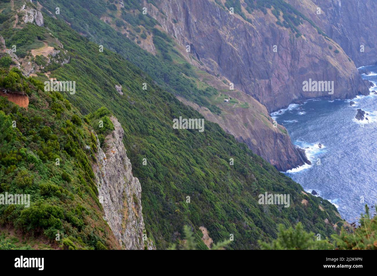 Vereda da Boca do Risco walking path in Madeira’s north-eastern coast ...