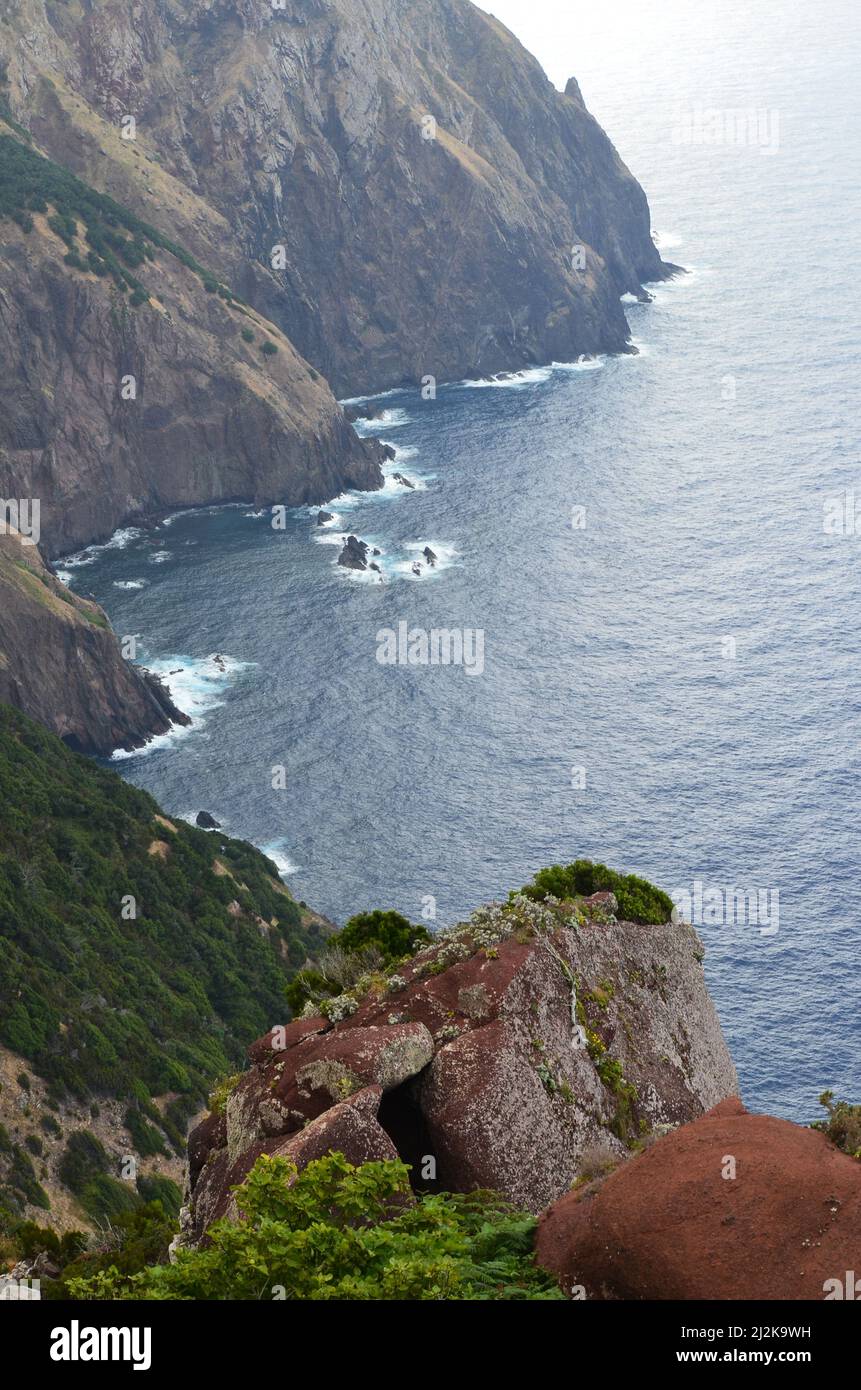 Vereda da Boca do Risco walking path in Madeira’s north-eastern coast ...