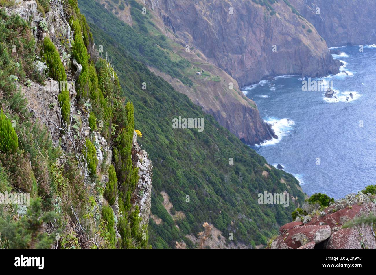 Vereda da Boca do Risco walking path in Madeira’s north-eastern coast ...