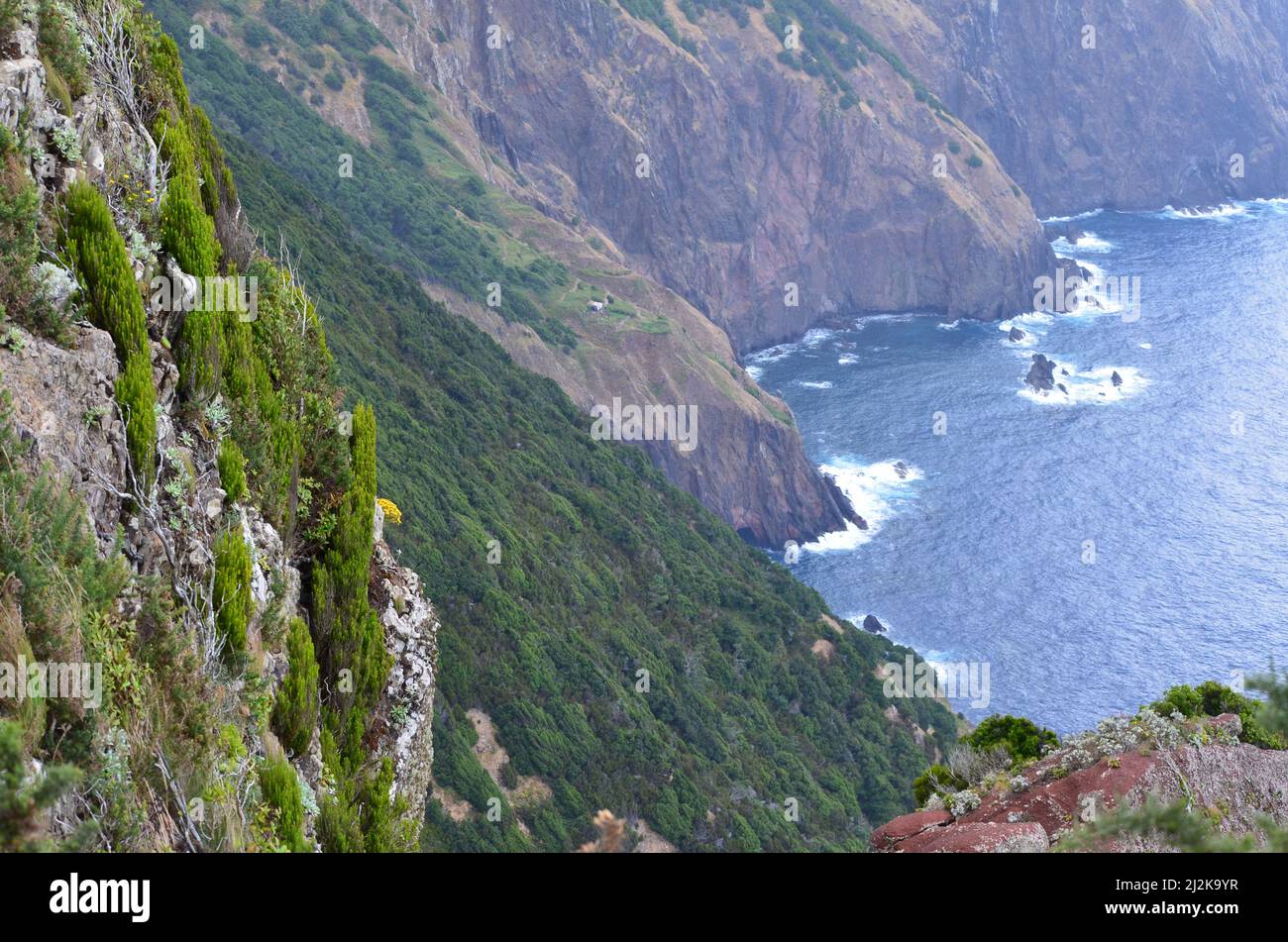 Vereda da Boca do Risco walking path in Madeira’s north-eastern coast ...