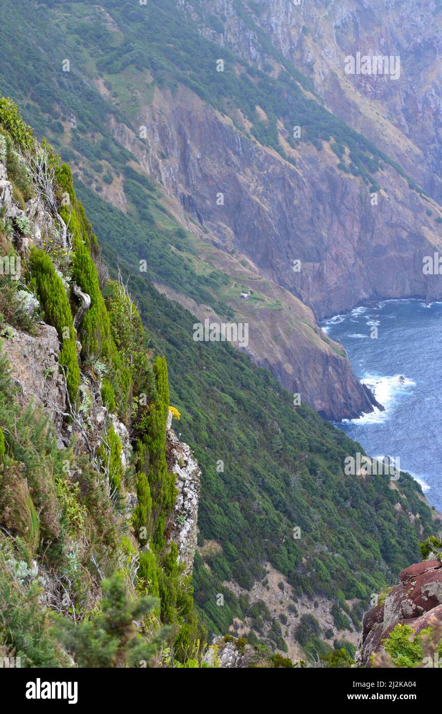 Vereda da Boca do Risco walking path in Madeira’s north-eastern coast ...