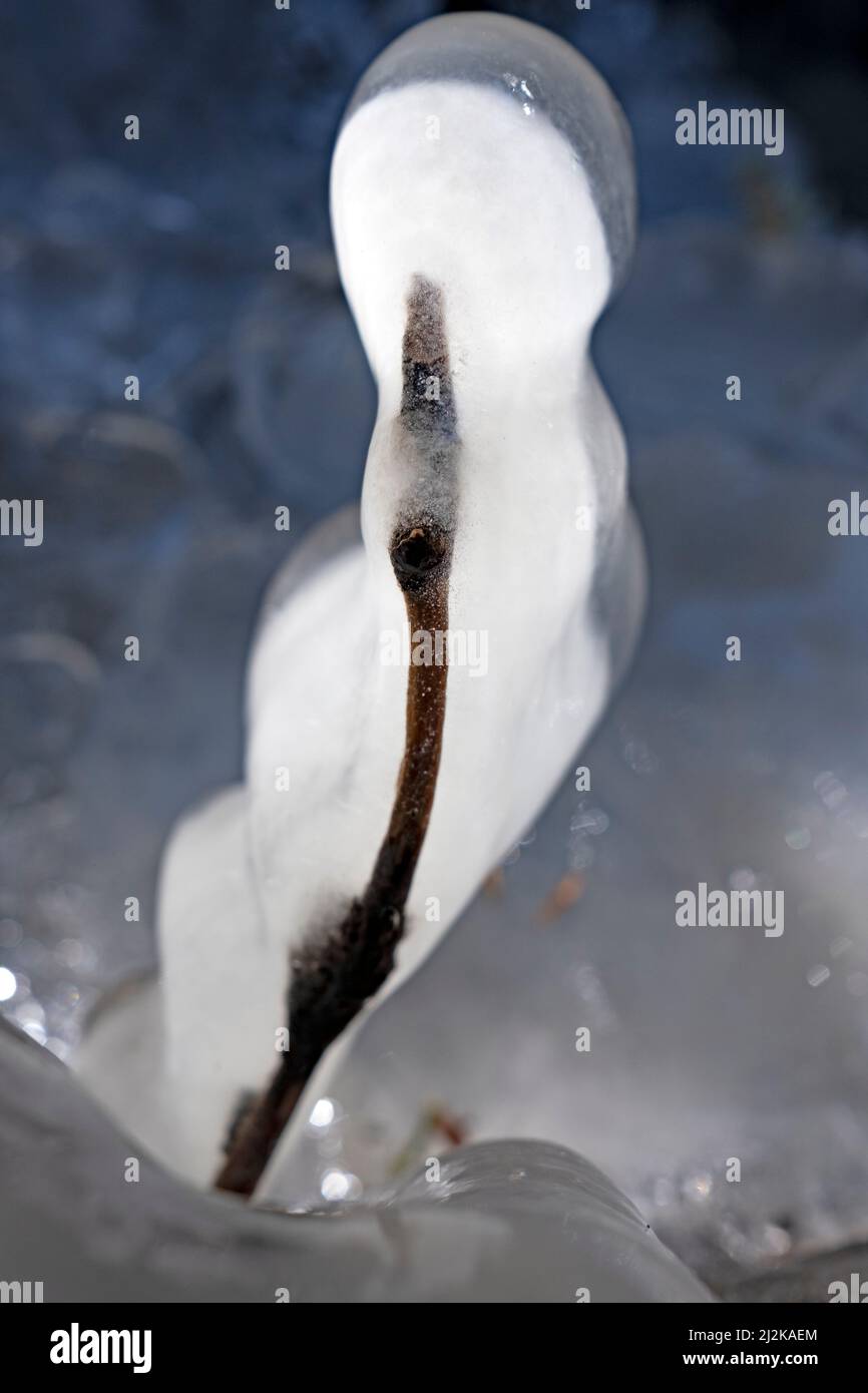 Abava river valley nature park hi-res stock photography and images - Alamy