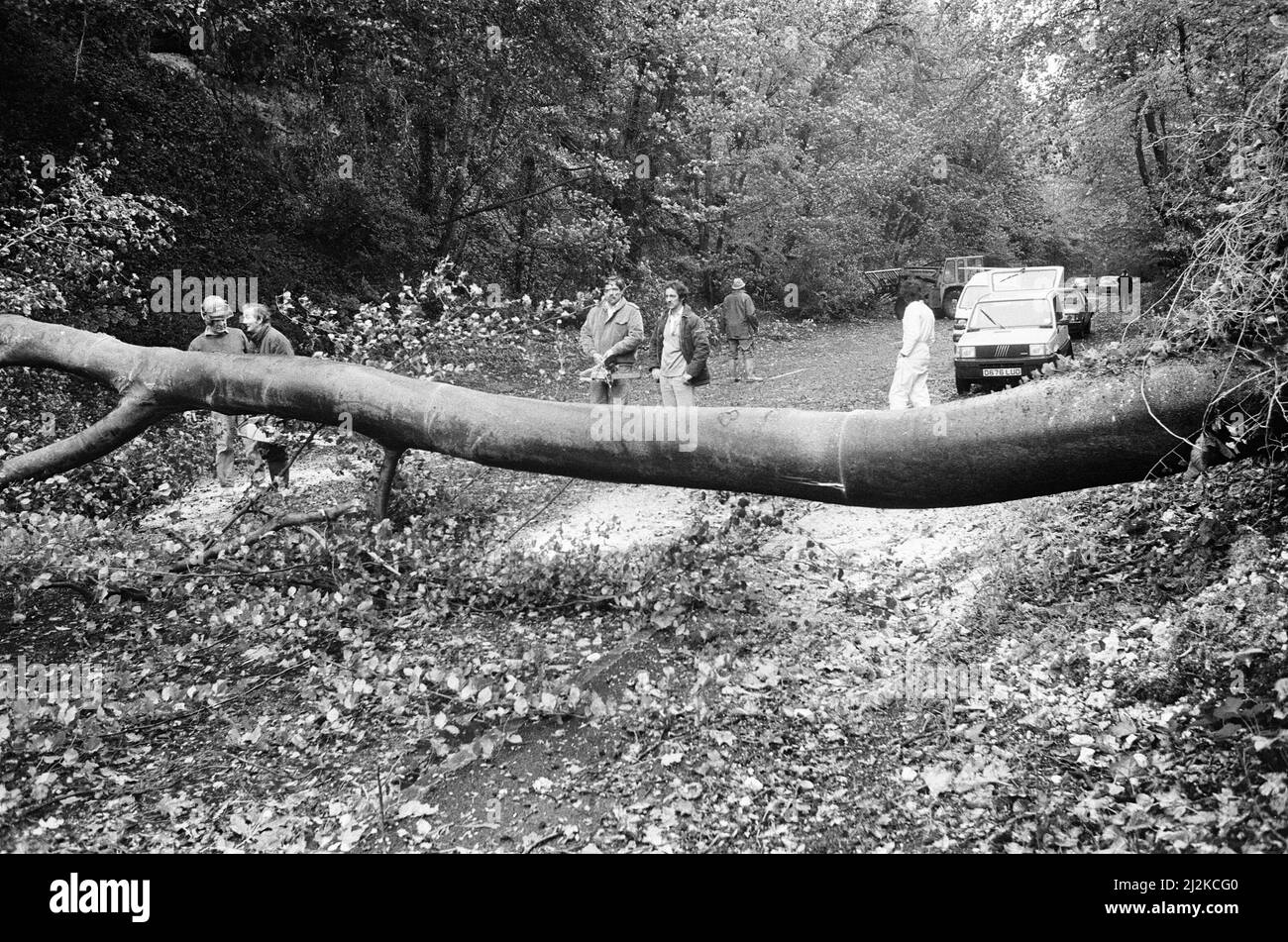 The Great Storm October 1987. Our Picture Shows . . . Storm damage ...