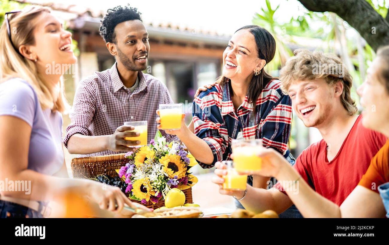 Happy guys and girls toasting healthy orange fruit juice at farm house ...
