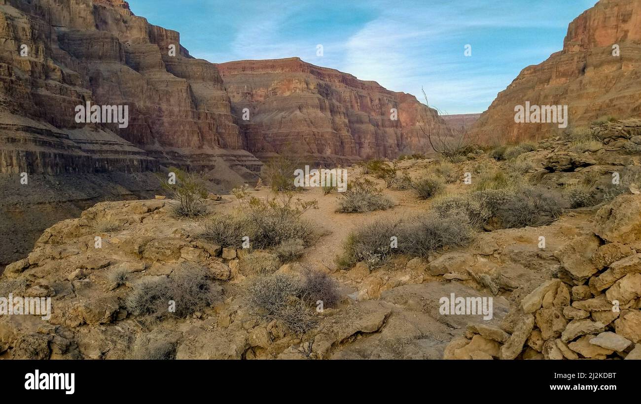 A scenic view of the rocks and green shrubs of the Grand Canyon in the ...