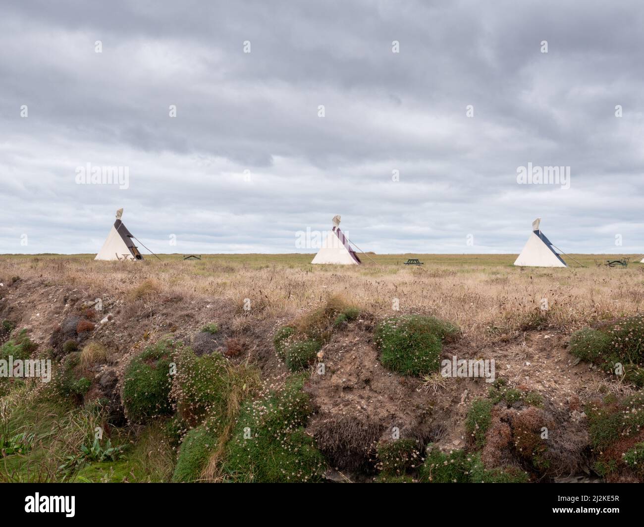 Teepees on a camp site in Cornwall UK near Bedruthan Steps Stock Photo ...