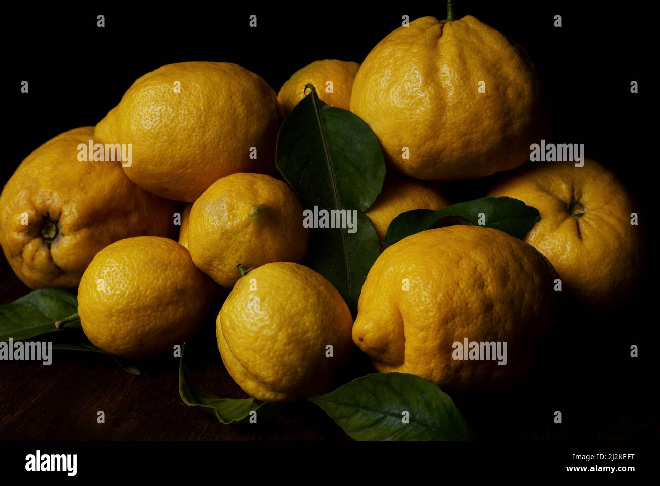 Still life of lemons and leaves with different shapes, with a black ...