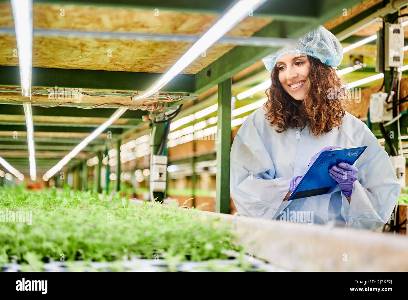 Agricultural inspection scientist hi-res stock photography and images ...