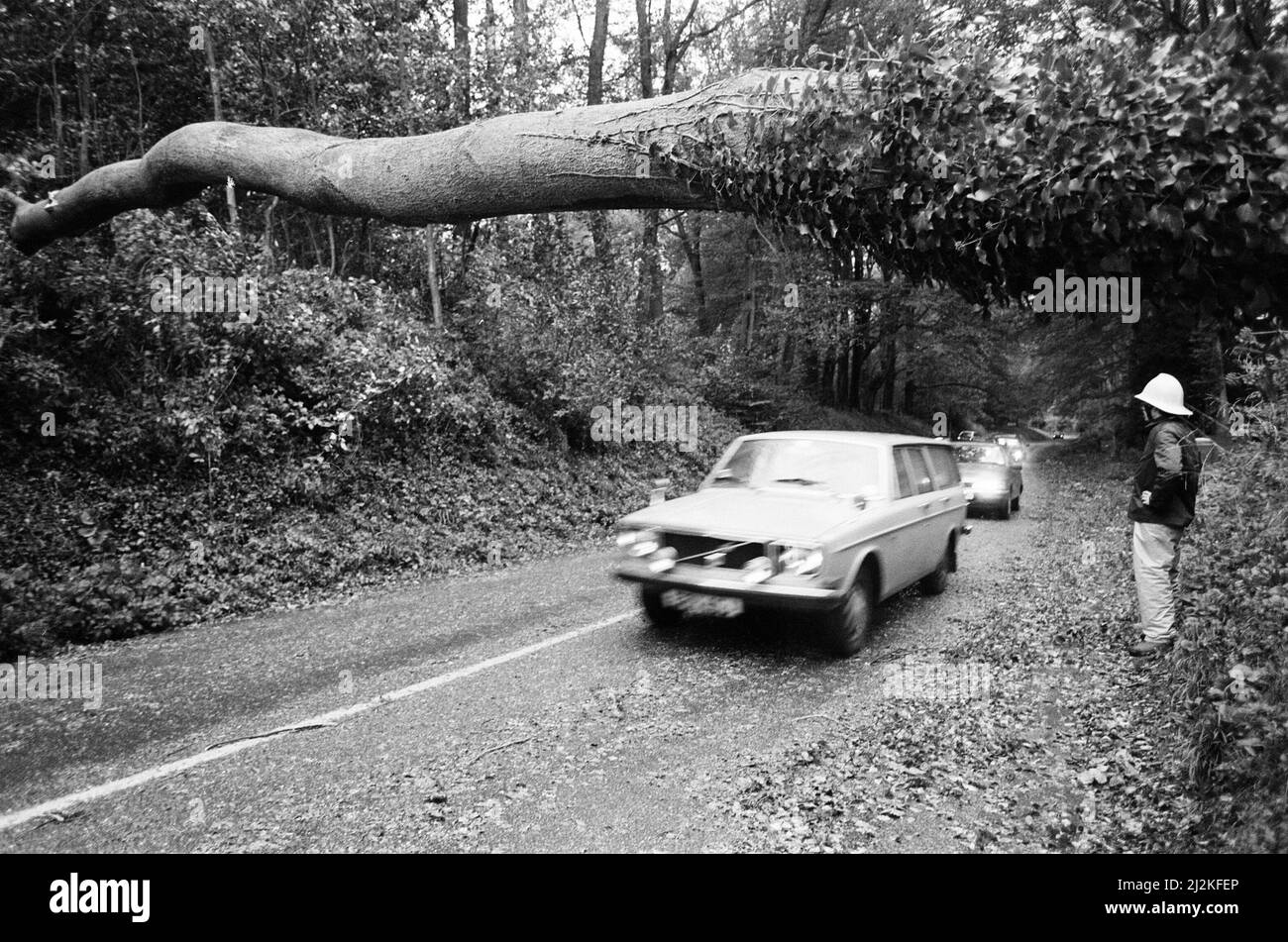 The great storm 1987 uk Black and White Stock Photos & Images - Alamy