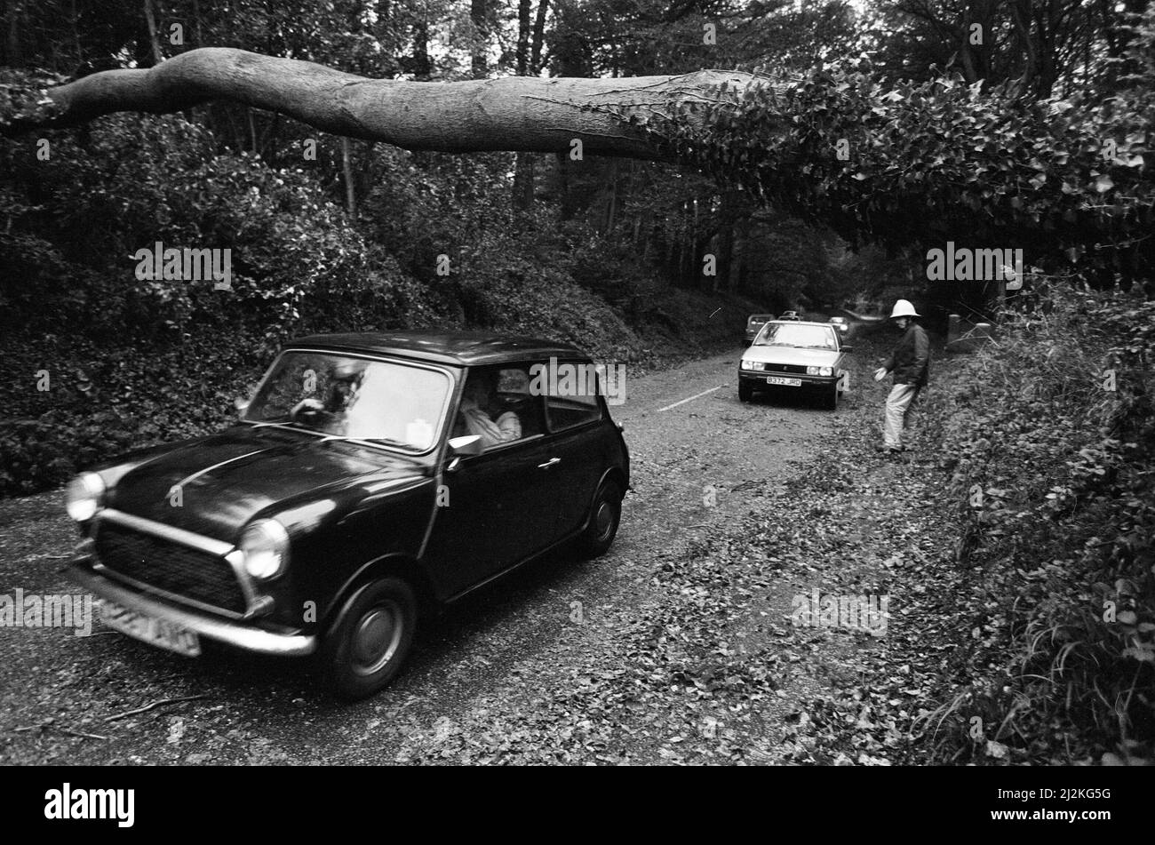The Great Storm October 1987. Our Picture Shows . . . storm damage ...