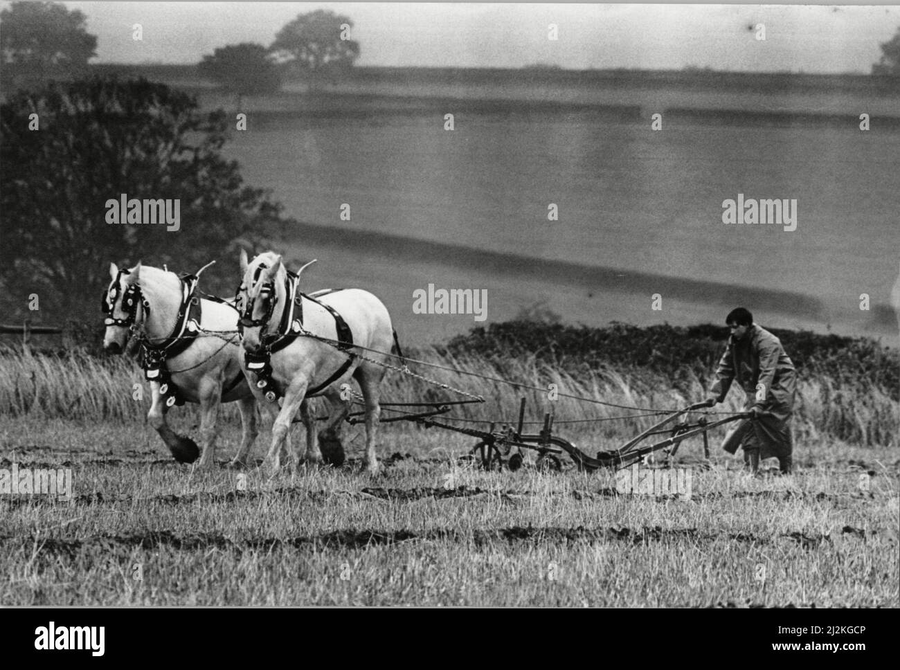 1987 agriculture hi-res stock photography and images - Alamy