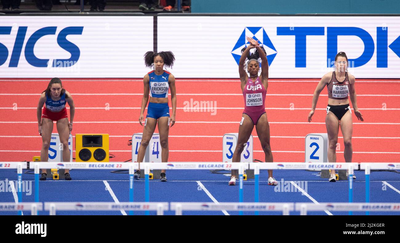 Anja lukic hi-res stock photography and images - Alamy