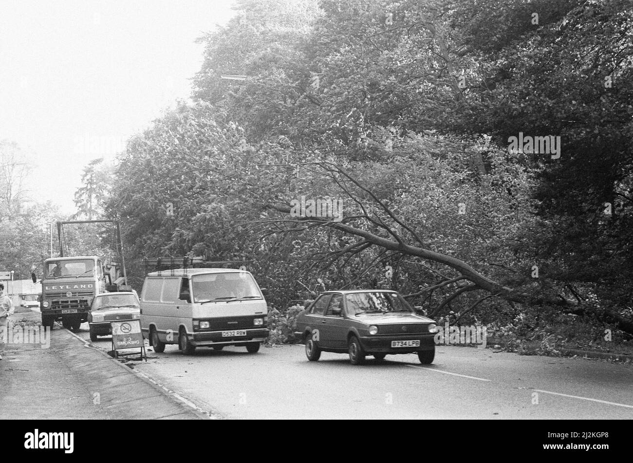 1987 storm uk Black and White Stock Photos & Images - Alamy