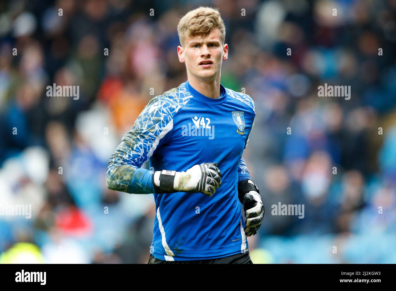 Josh render hi-res stock photography and images - Alamy