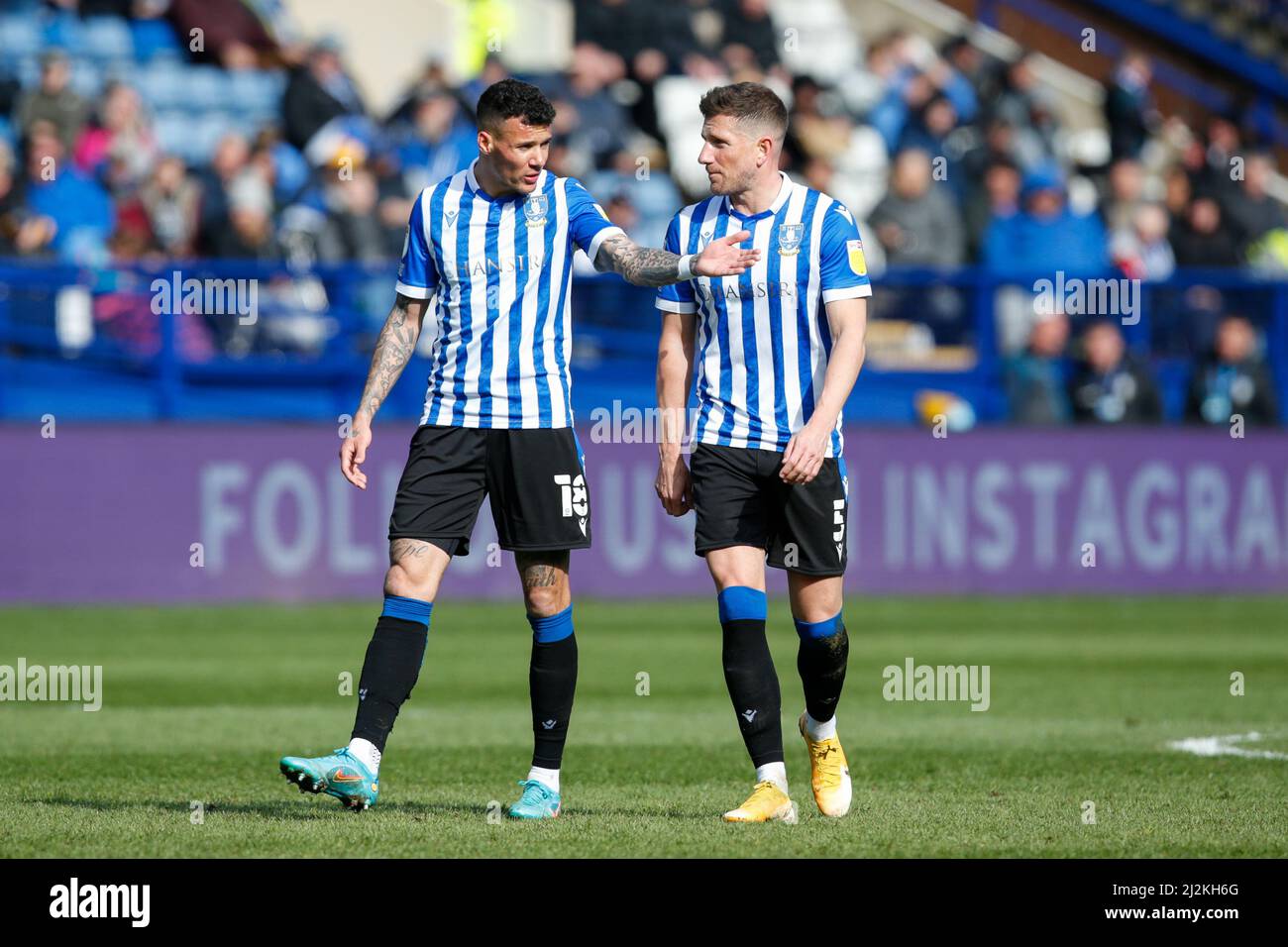 Marvin Johnson #18 of Sheffield Wednesday and Sam Hutchinson #5 of ...