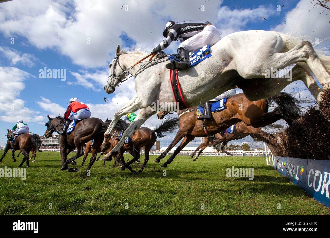 Runners and riders in the Coral Scottish Grand National Handicap Chase ...