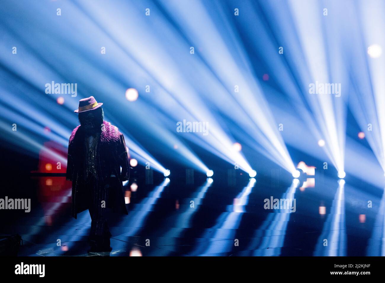 Cologne, Germany. 02nd Apr, 2022. The character "The Gorilla" is on ...