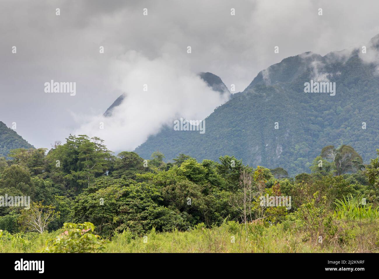 Rainforest and mountains, Gunung Mulu National Park, Sarawak, Malaysia ...