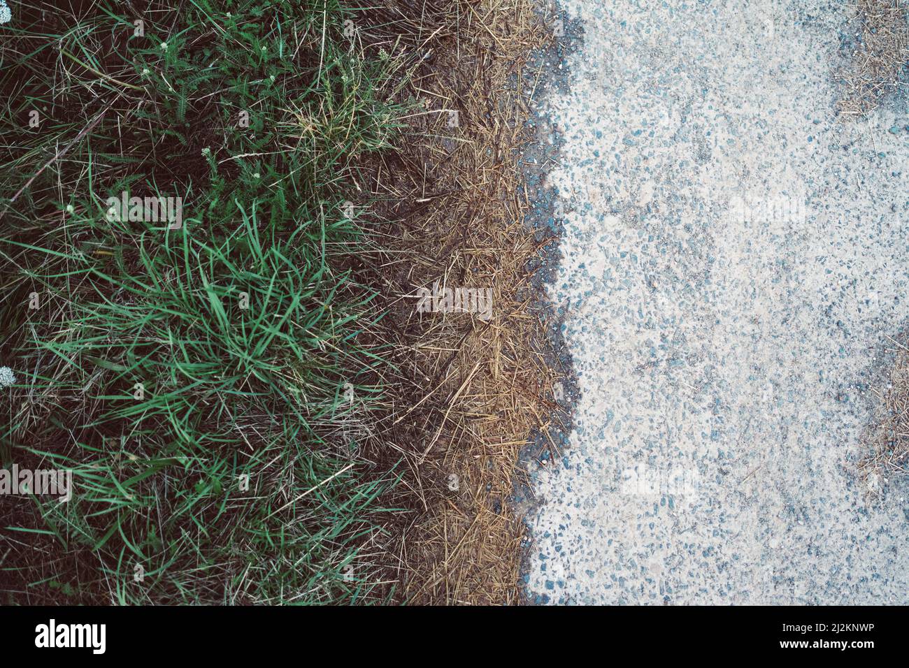 A wallpaper of grass and ground Stock Photo - Alamy