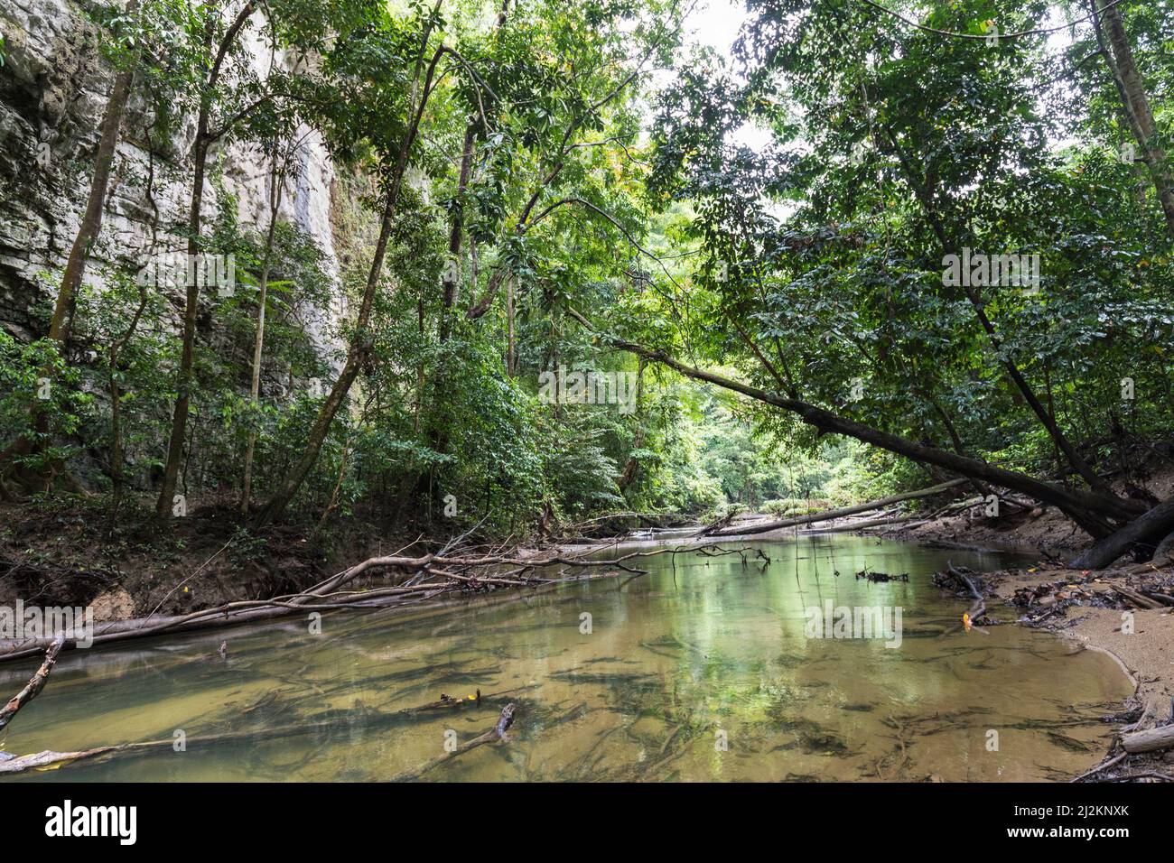 Paku river, Gunung Mulu National Park, Malaysia Stock Photo - Alamy