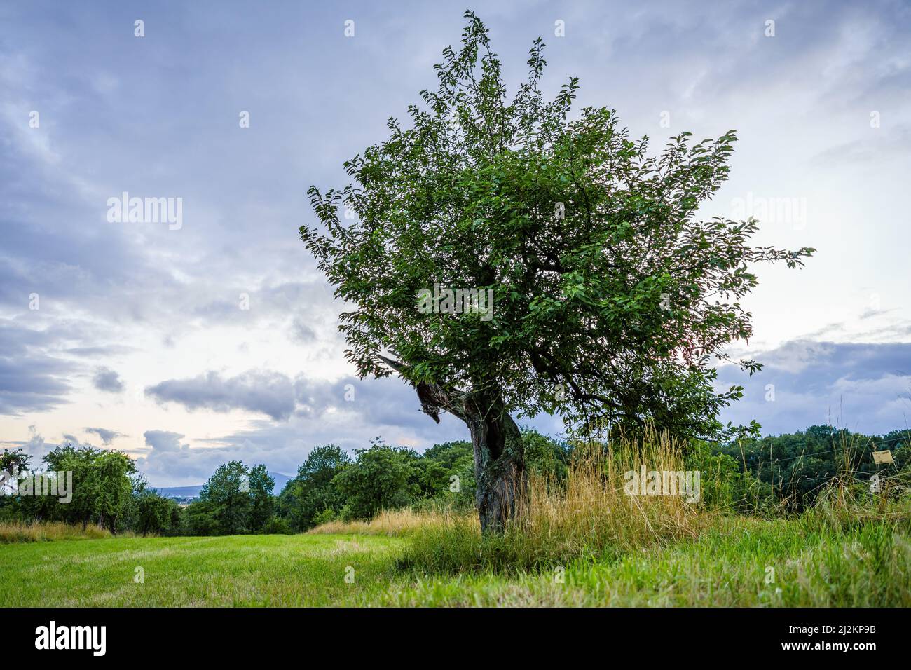 A wallpaper of rural green fields Stock Photo - Alamy