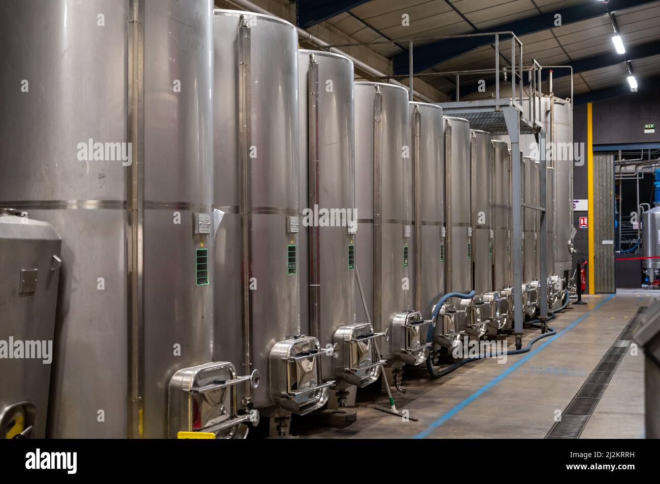 Production of sweet cassis creme liquor from ripe black currant berries ...
