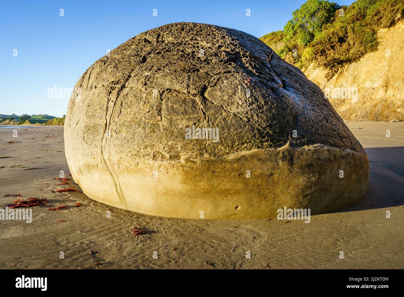 A huge rock on Moeraki Boulders Beach in New Zealand Stock Photo - Alamy