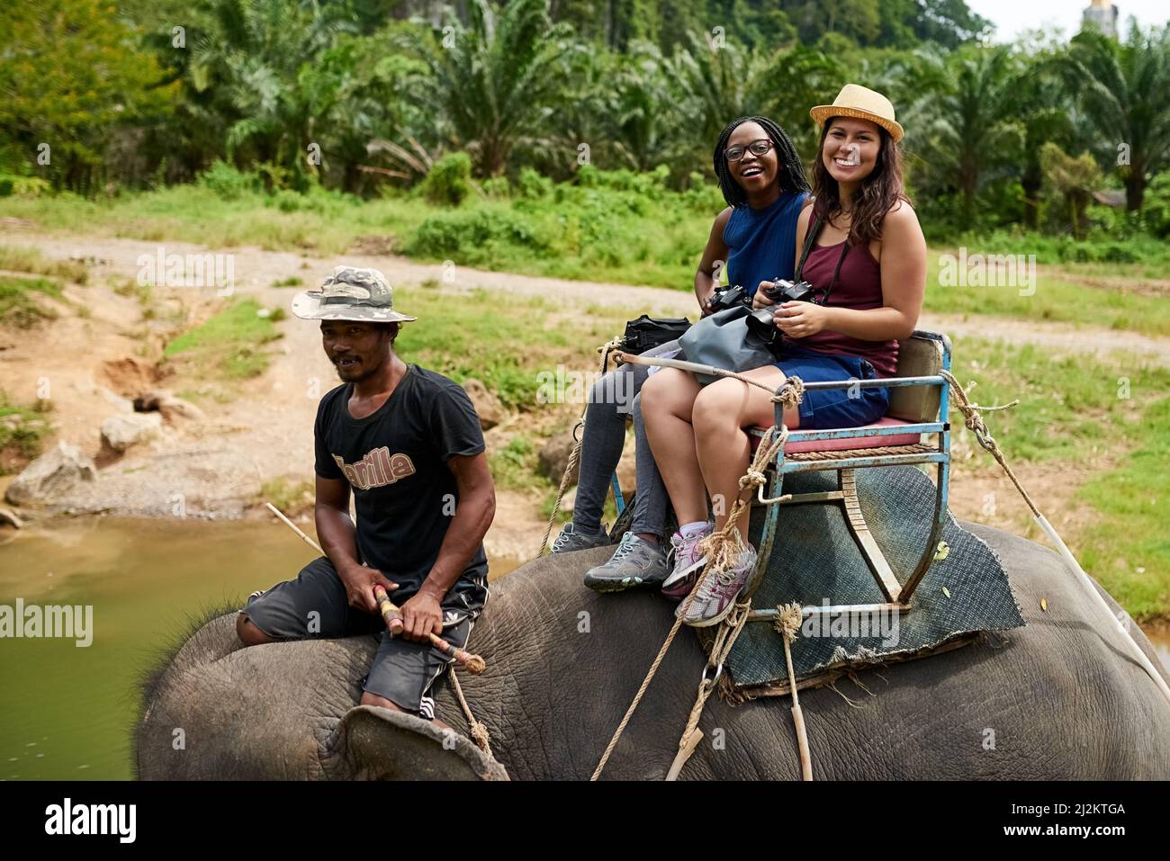 African american tourists rainforest hi-res stock photography and ...