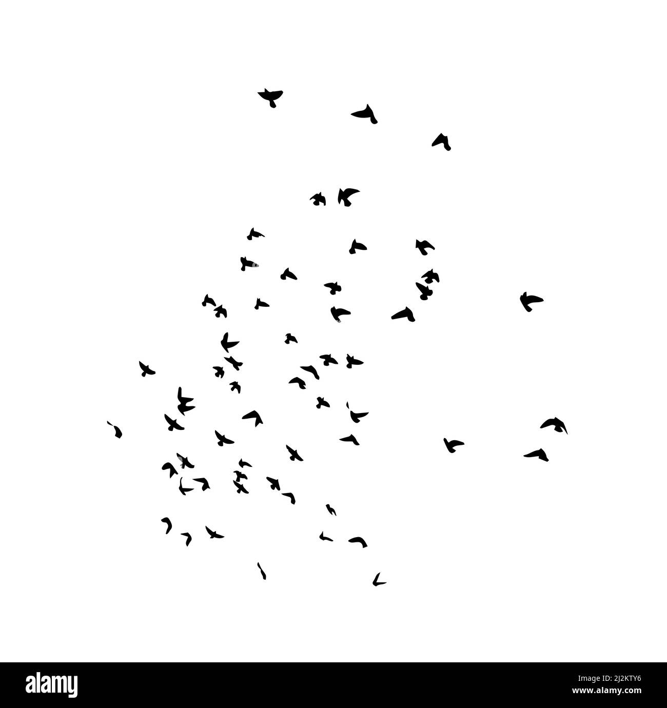 A flock of flying birds. Free birds. Vector illustration Stock Vector ...