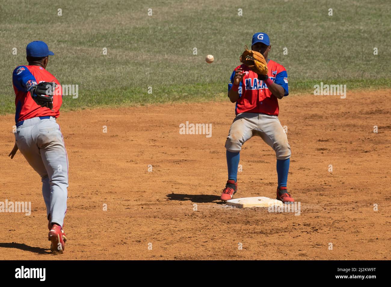 Granma baseball hi-res stock photography and images - Alamy