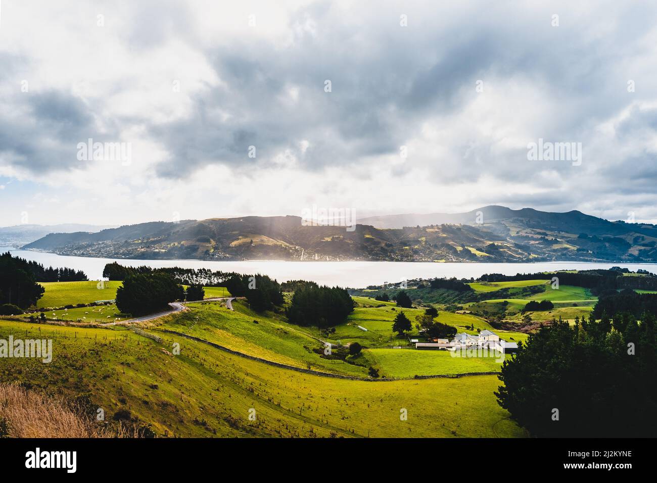 A beautiful view of lake surrounded by greenery in Dunedin, South ...