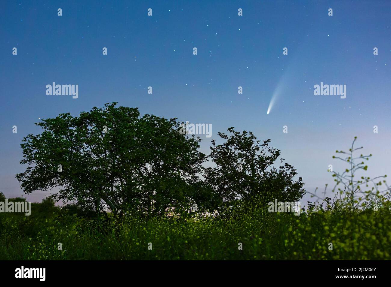 Meteor, shooting star or falling star seen in a night sky landscape ...