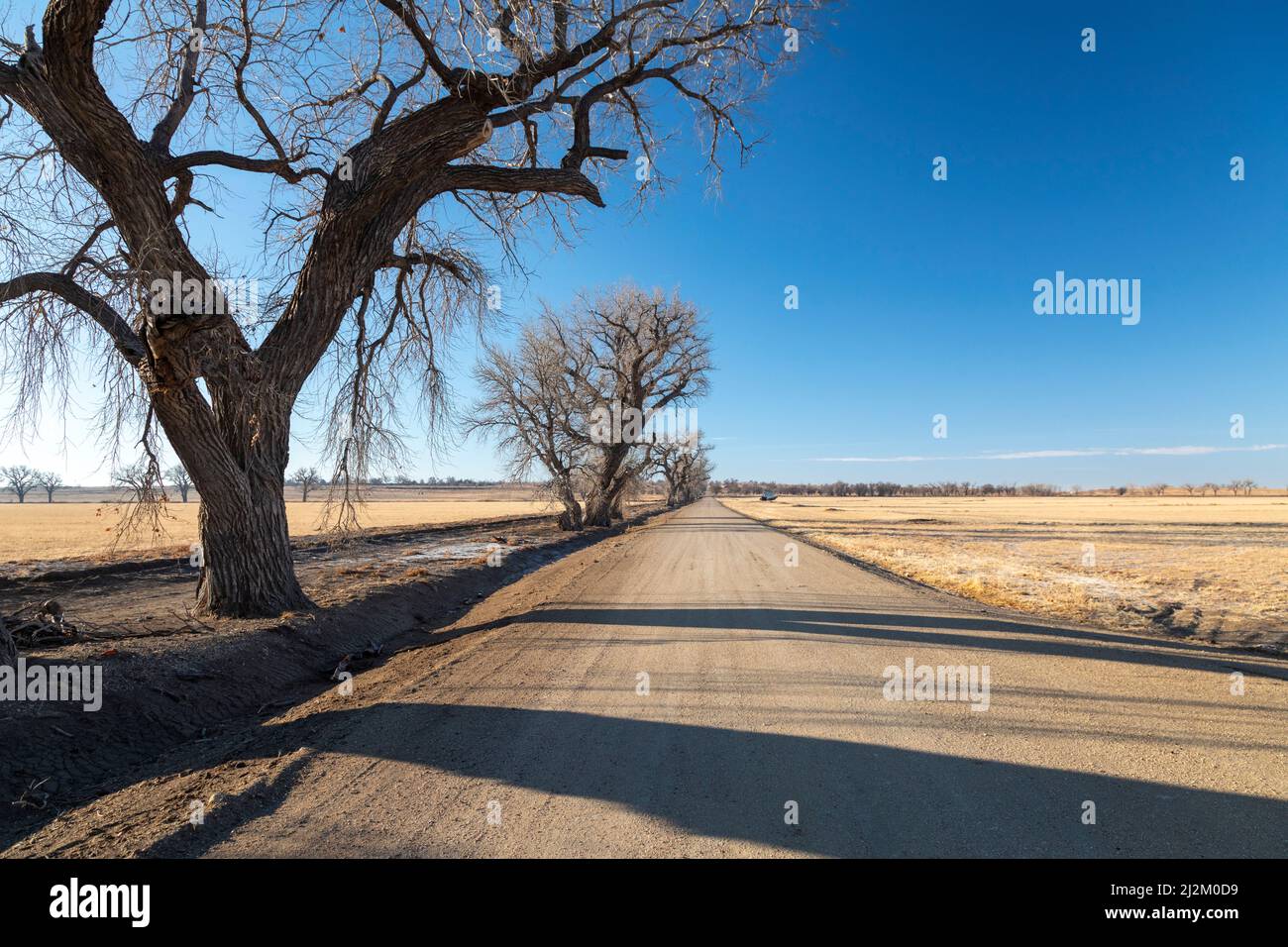 Granada, Colorado - The entrance road to the World War II Amache ...