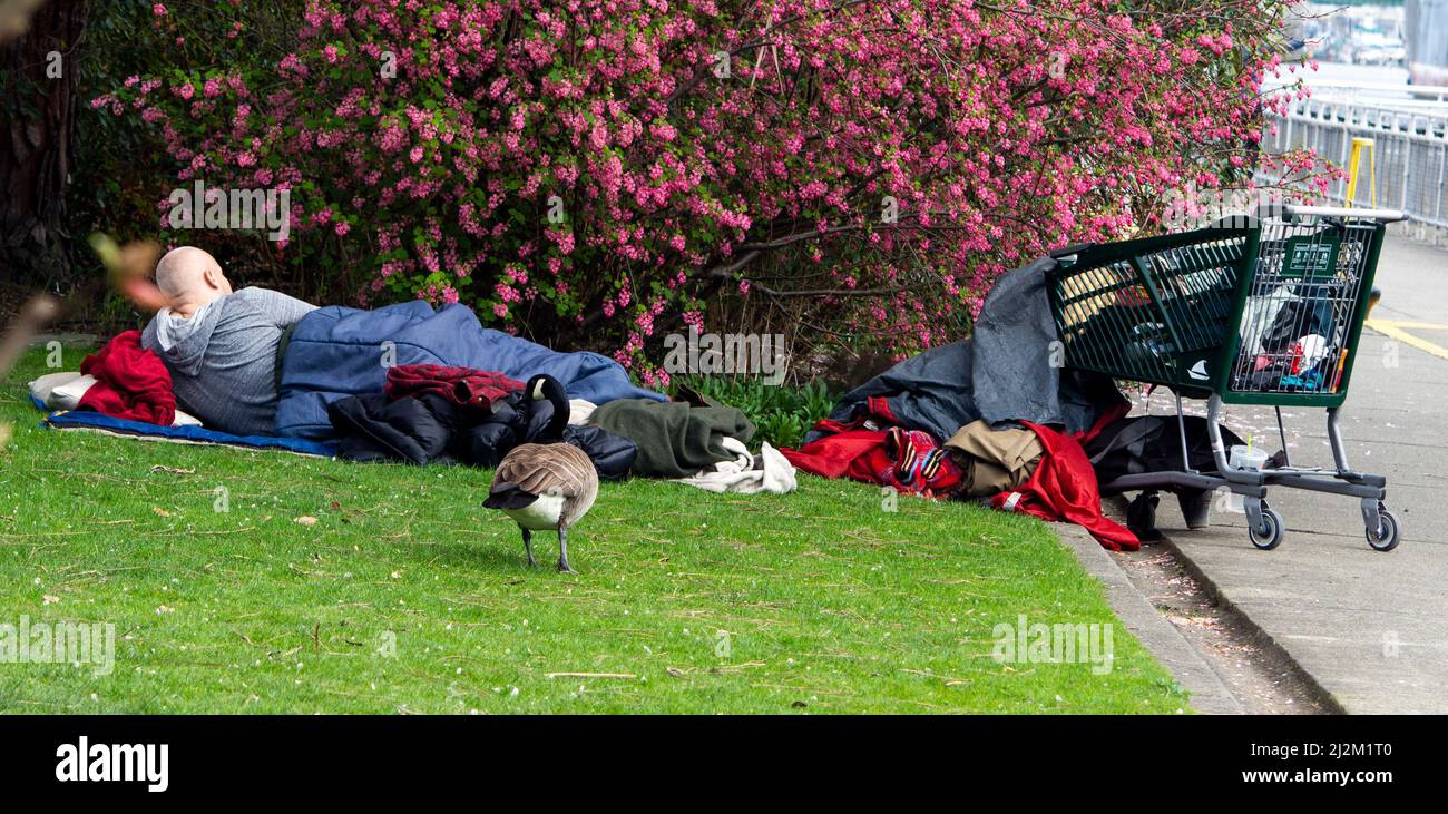 Ballard seattle shopping hi-res stock photography and images - Alamy