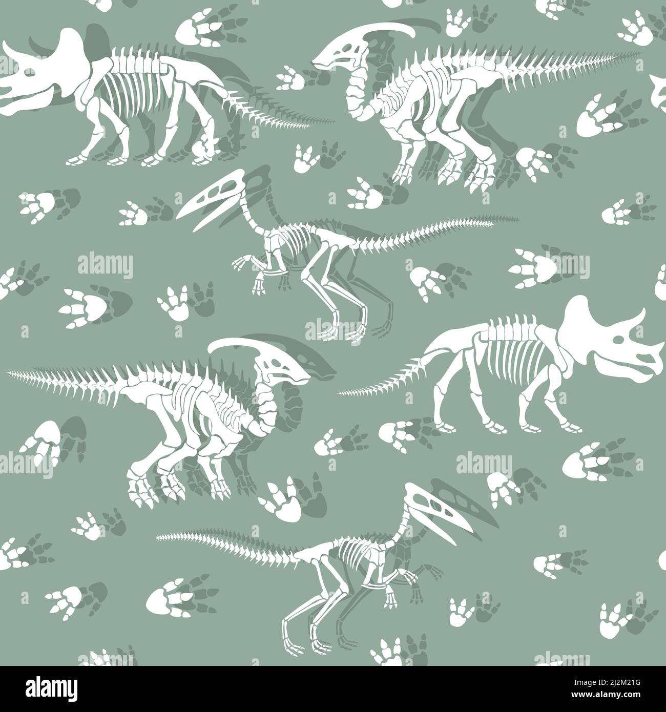 Dinosaur Bone Template