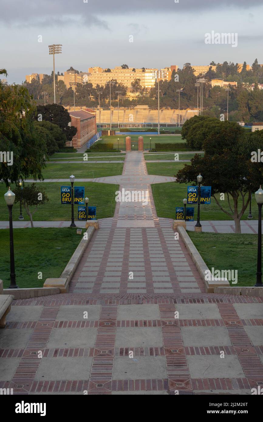 Main walkway on the campus of UCLA at sunrise Stock Photo - Alamy
