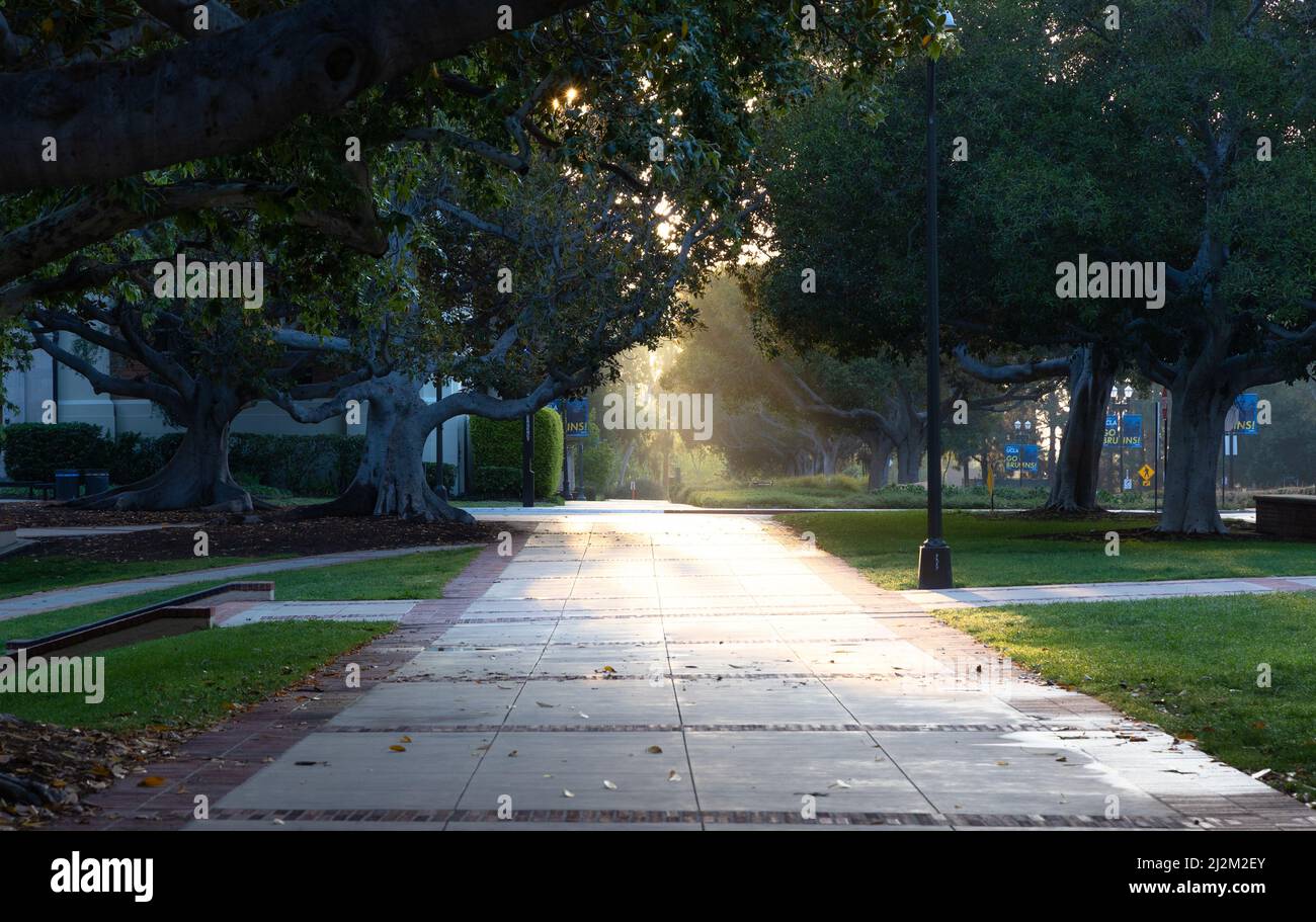 Morning sunlight filtered through trees to light a sidewalk Stock Photo ...
