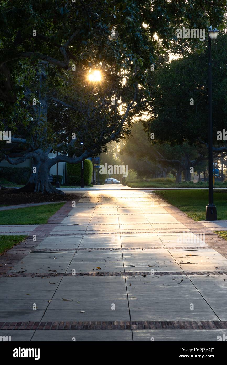 Morning sunlight filtered through trees to light a sidewalk Stock Photo ...