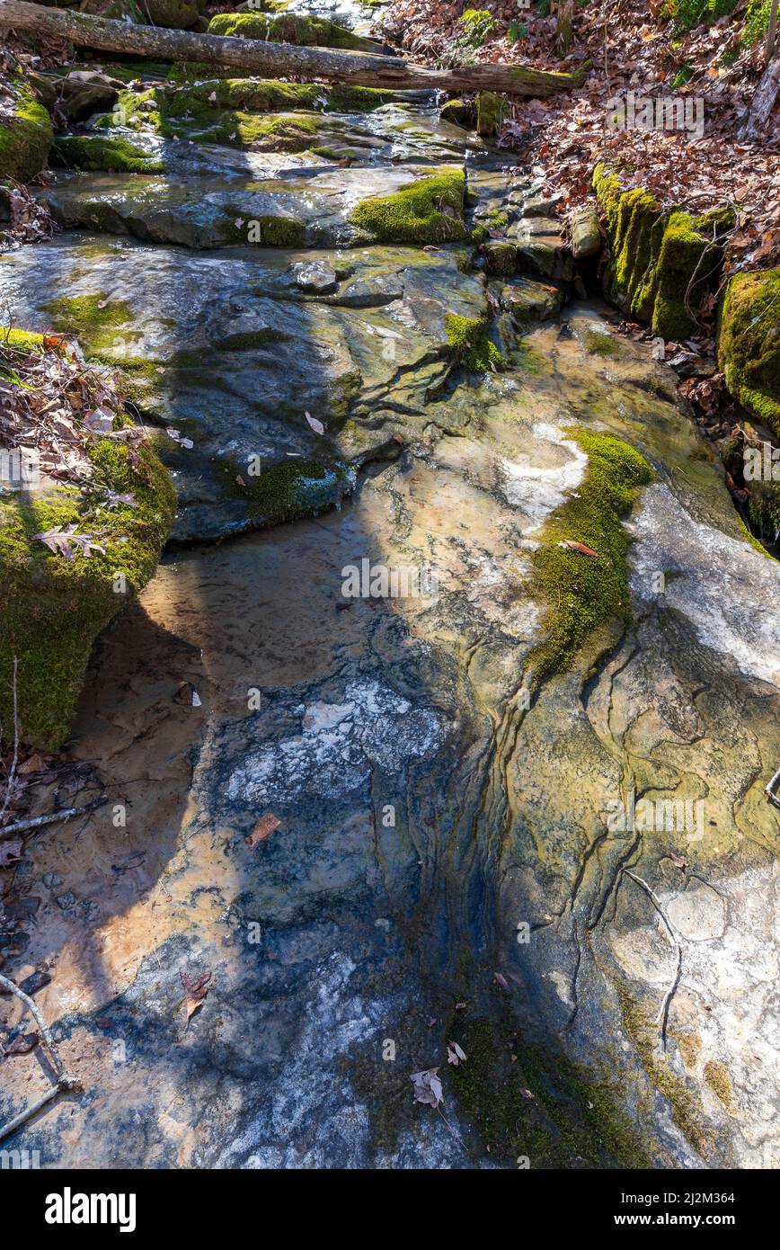 A vertical shot of the mossy rocks under Pomona Natural Bridge, Shawnee ...