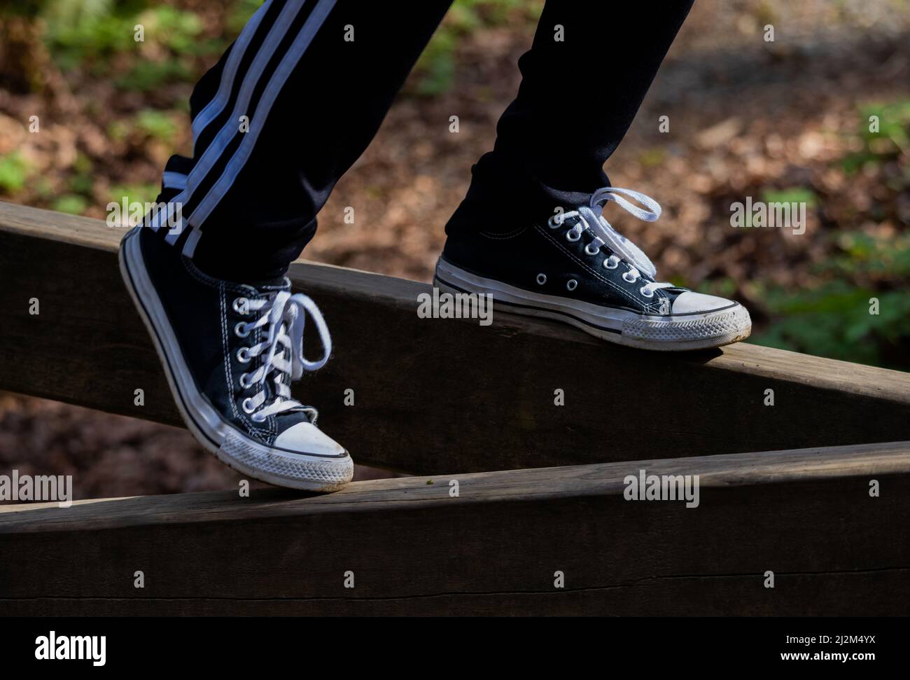 Should you walk up or down, which path should you take? Important ...