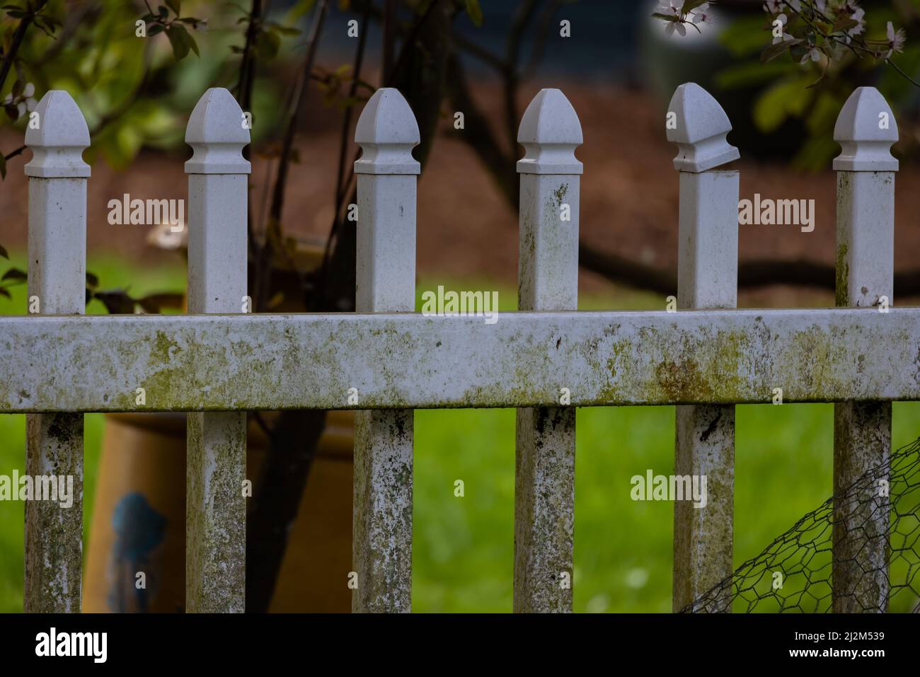 Plastic fence hi-res stock photography and images - Alamy