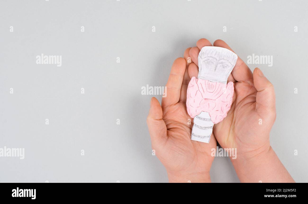 Holding thyroid organ in the hands, drawing paper cut out ...