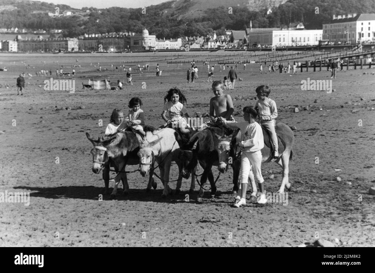 Children the 1980s donkey hi-res stock photography and images - Alamy