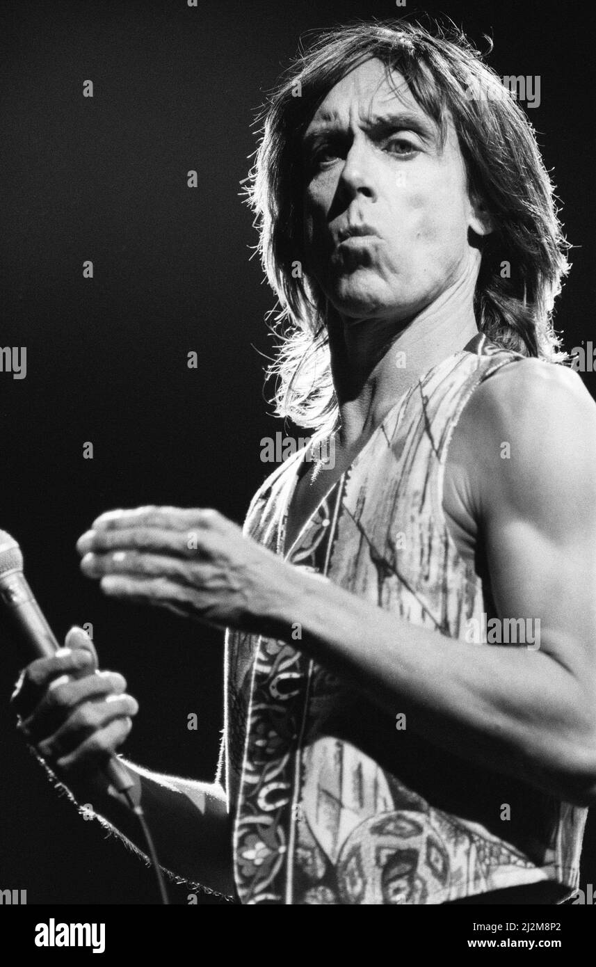 Iggy Pop (USA singer) performing at The Reading Rock Festival, Little ...