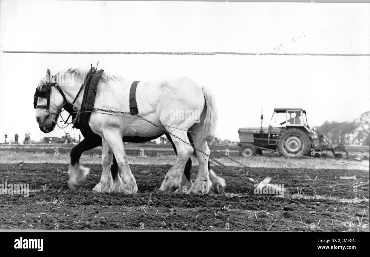 Two furrow plough hi-res stock photography and images - Alamy